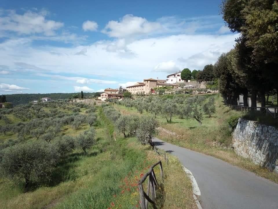 Tra le colline toscane e Umbre Spinea - Venezia | Auriga Tours S.r.l.