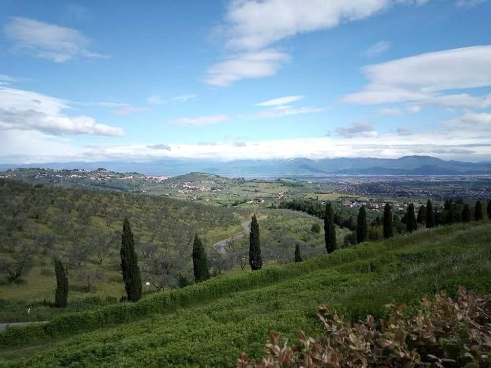 Tra le colline toscane e Umbre Spinea - Venezia | Auriga Tours S.r.l.